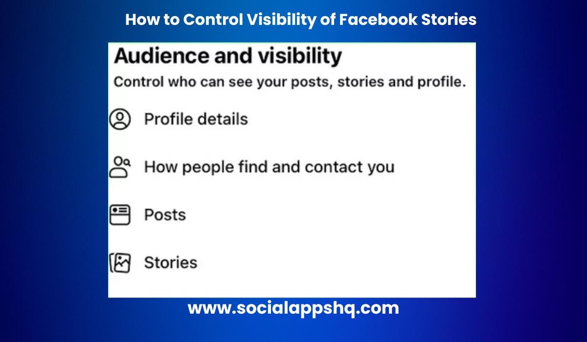 What Does “Other Viewers” Mean on Facebook Story?