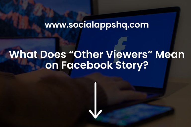 What Does “Other Viewers” Mean on Facebook Story?