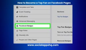How to Get a Top Fan Badge on Facebook - SocialAppsHQ