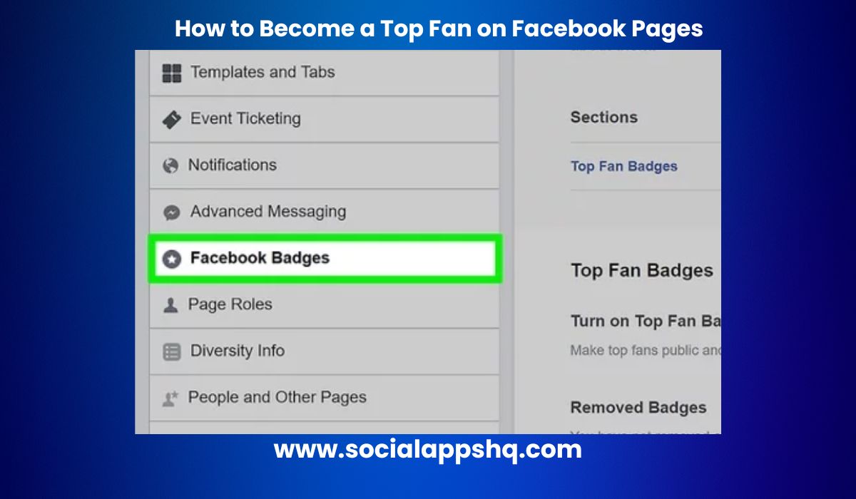How to Get a Top Fan Badge on Facebook - SocialAppsHQ