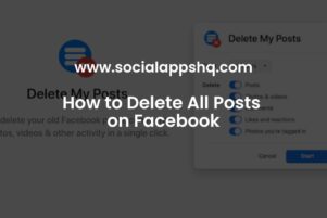 How to Delete All Posts on Facebook - SocialAppsHQ