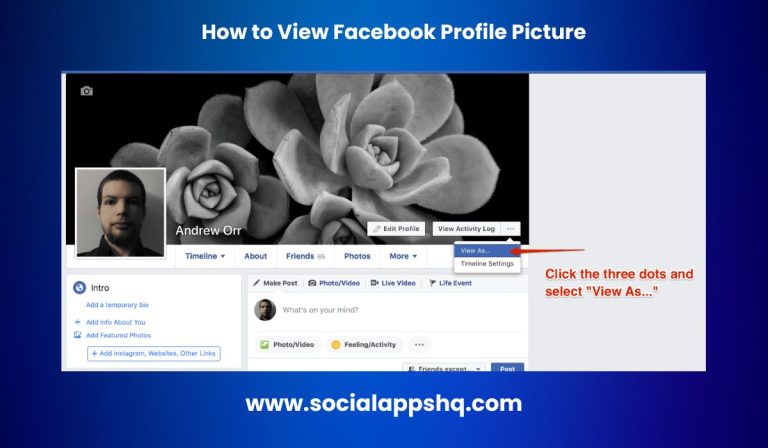 How To View And Download Facebook Profile Picture